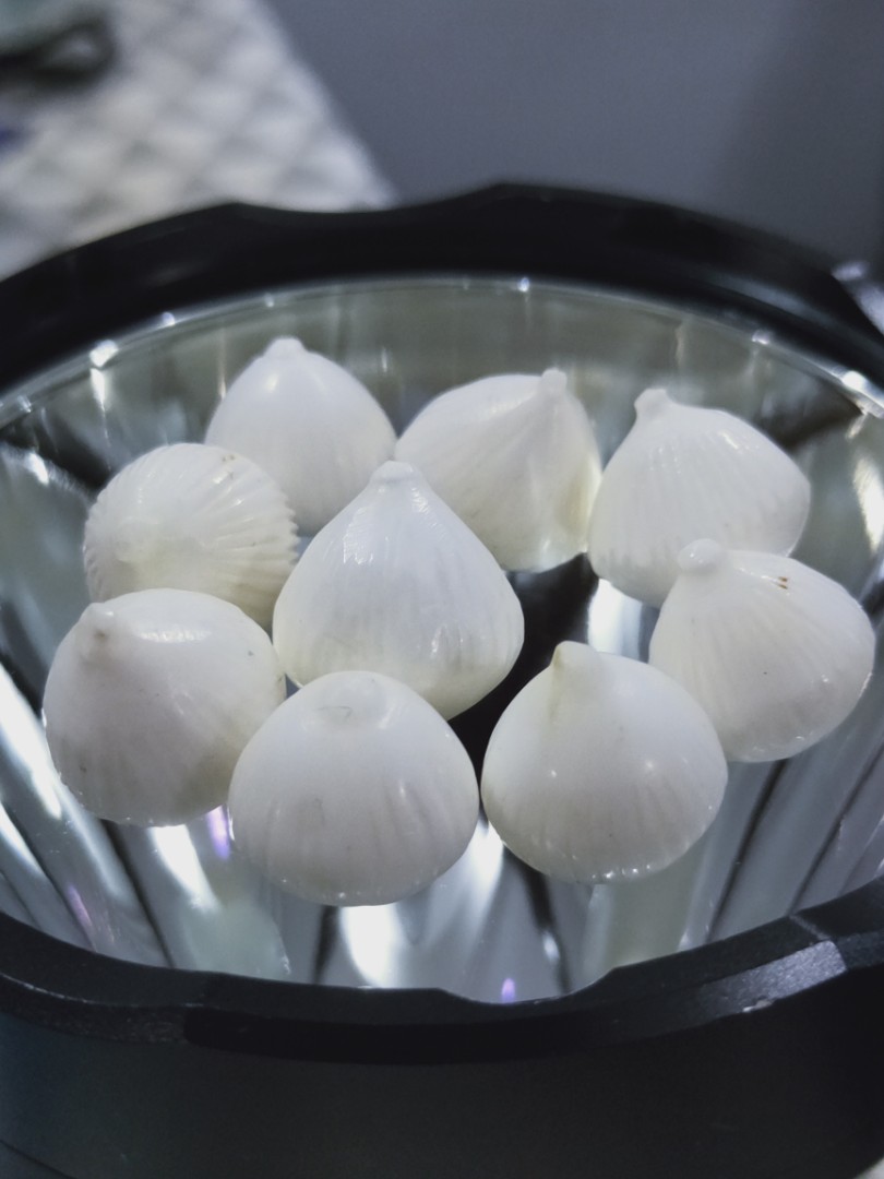 Coconut Pearl, Everything Else on Carousell