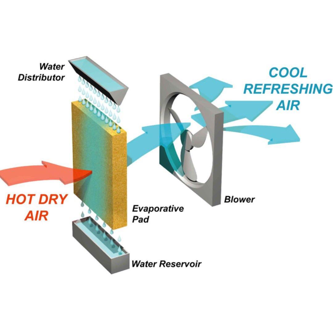 Evapolar - The original personal cooling device for hot and stuffy ...