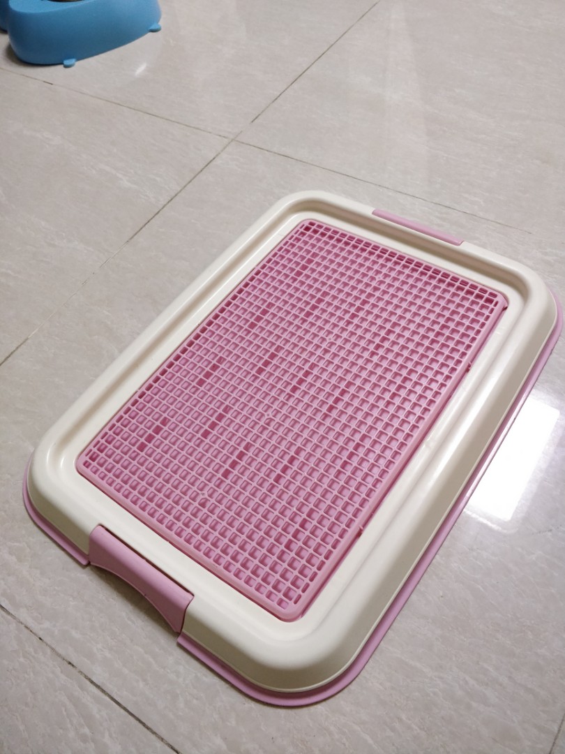Dog pee pan / tray, Pet Supplies, Homes & Other Pet Accessories on ...