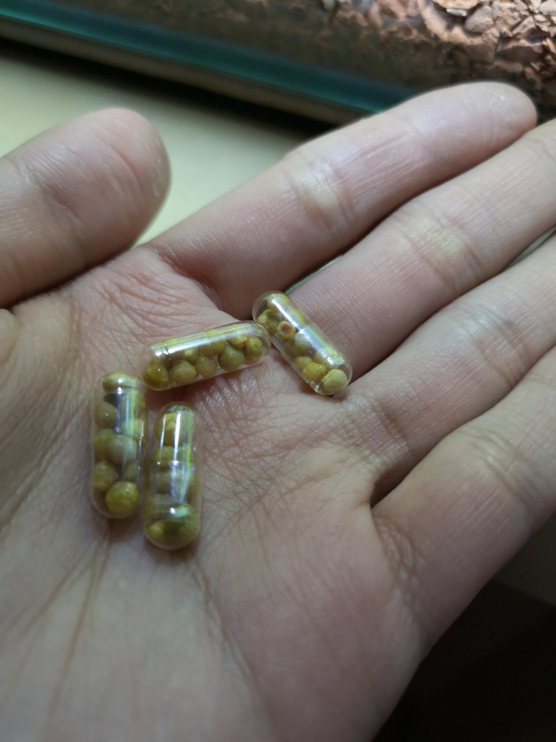 Root tabs(plantacode plus) (10 CAPS), Pet Supplies, Homes & Other Pet ...