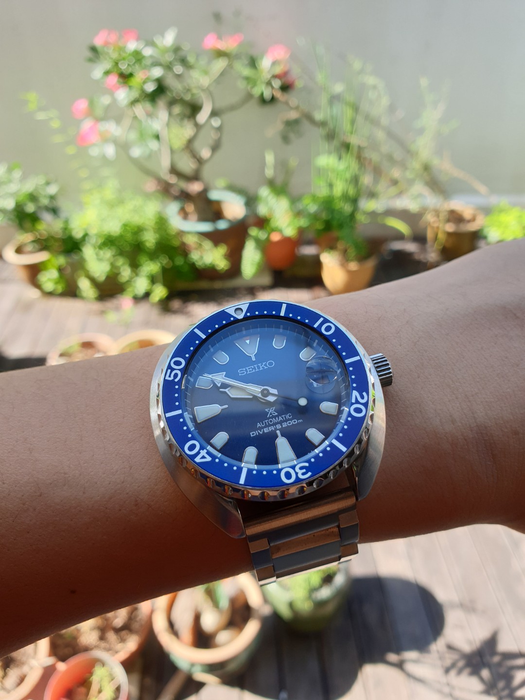 Seiko Mini Turtle, Men's Fashion, Watches & Accessories, Watches on ...