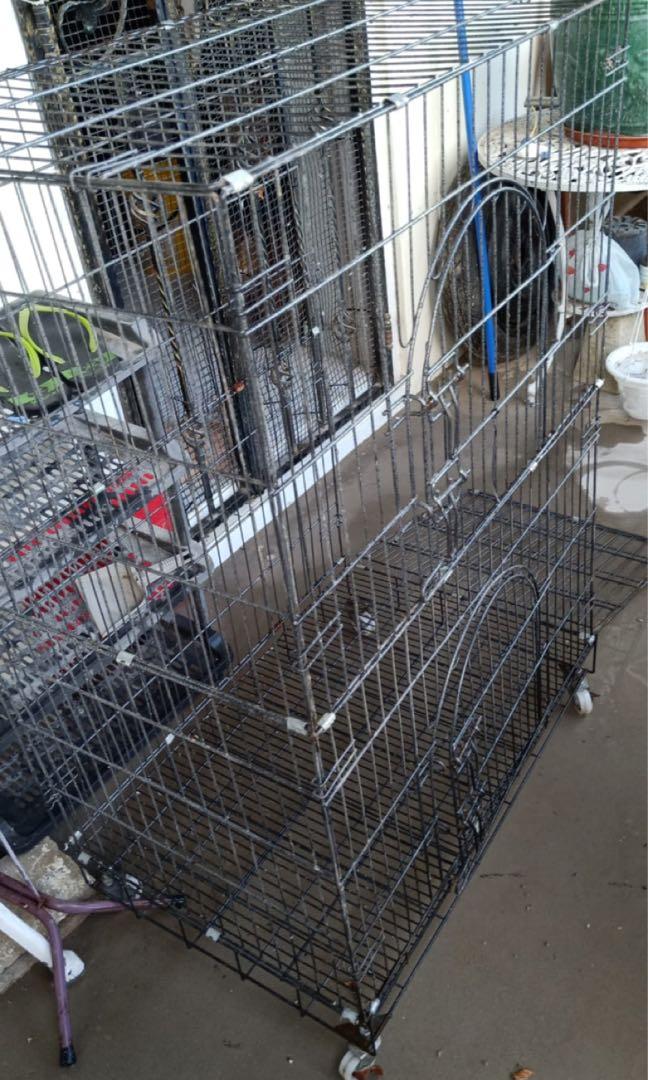 WTS Cat Cage For Sale, Pet Supplies, Homes & Other Pet Accessories on ...