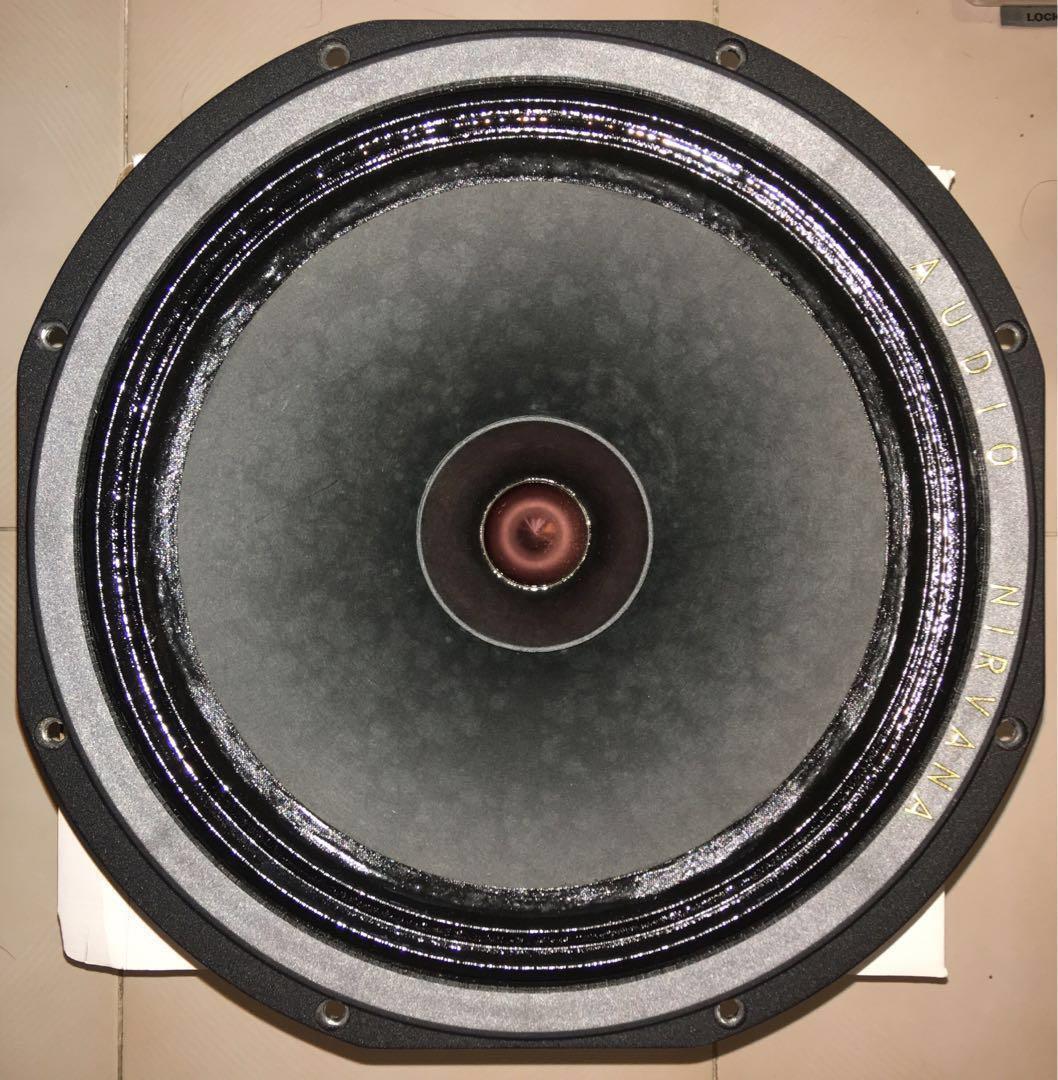 Audio Nirvana Super 12 Full range drivers, Audio, Other Audio Equipment ...