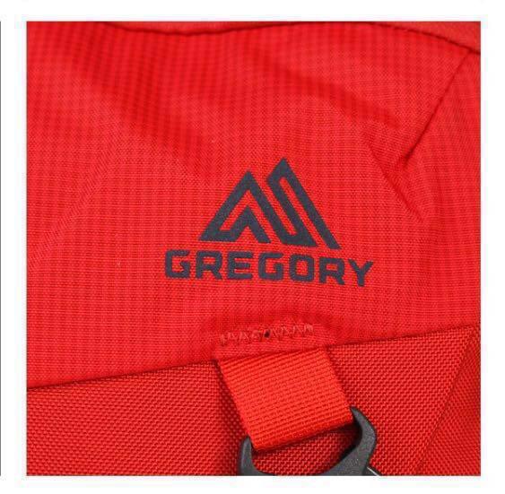 Gregory Graph 12 Messenger Bag Factory Sale | emergencydentistry.com