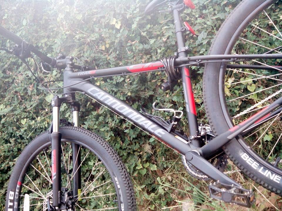 CANNONDALE TRAIL 6, Sports Equipment, Bicycles & Parts, Bicycles on ...