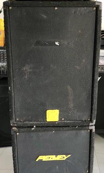PEAVEY HISYS 2XT 15 inch 350watts 4 Ohm passive speakers, Audio ...