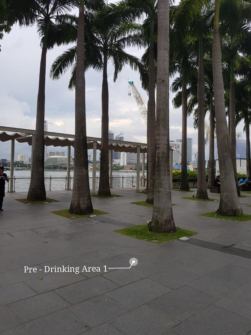 Ultra-Value Singapore Bayfront 2019 Alcohol Bundle [Absolut Vodka ...