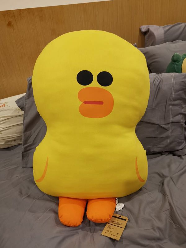 LINE FRIENDS Giant Sally (limited edition by Chocoolate), Hobbies ...