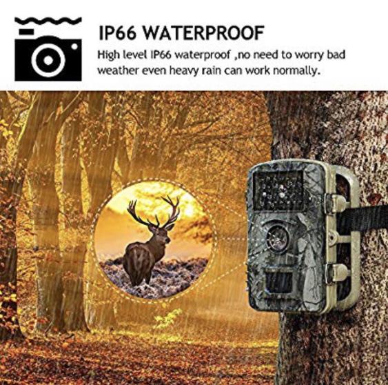 Gosira 12MP 1080P Trail Wildlife Camera, Photography, Cameras on Carousell