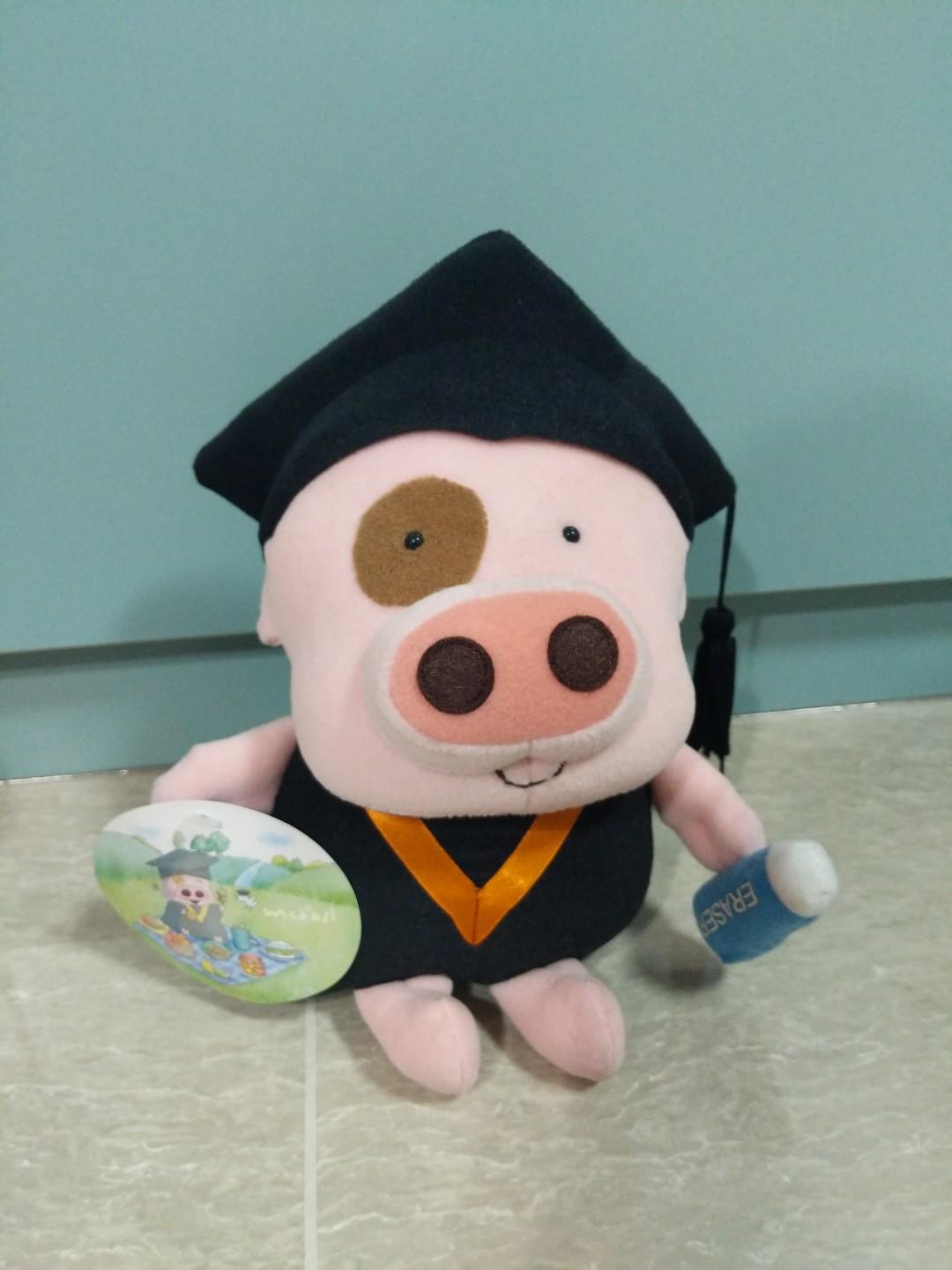 Mcdull piggy graduation plush, Hobbies & Toys, Toys & Games on Carousell