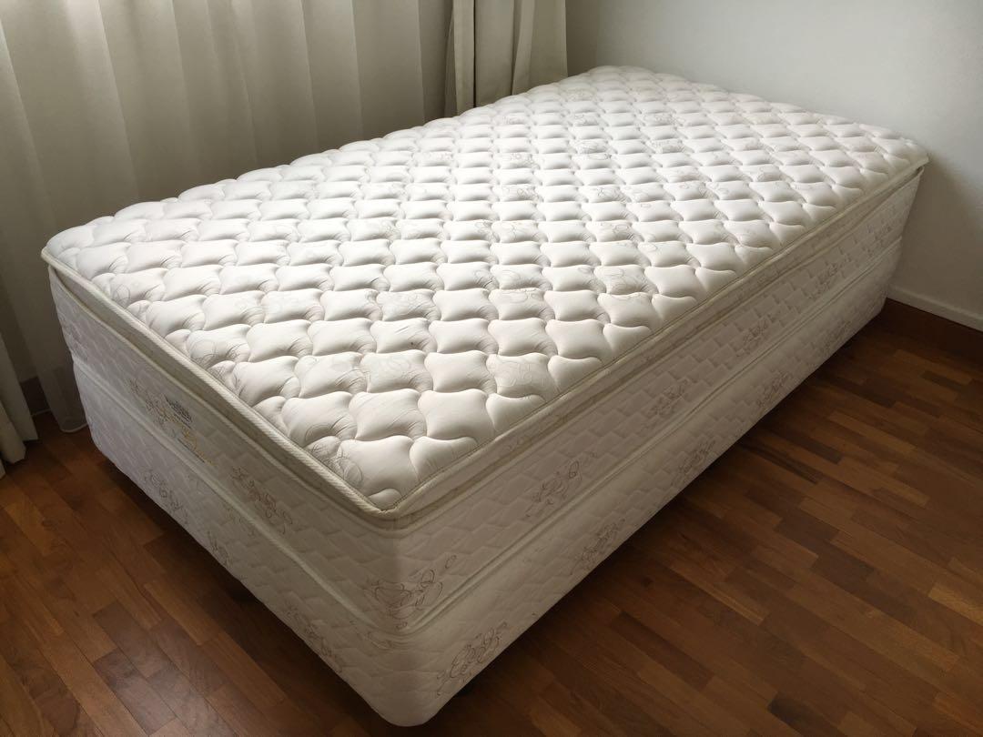 Deluxe King Koil, Single Bed, Furniture & Home Living, Furniture, Bed ...