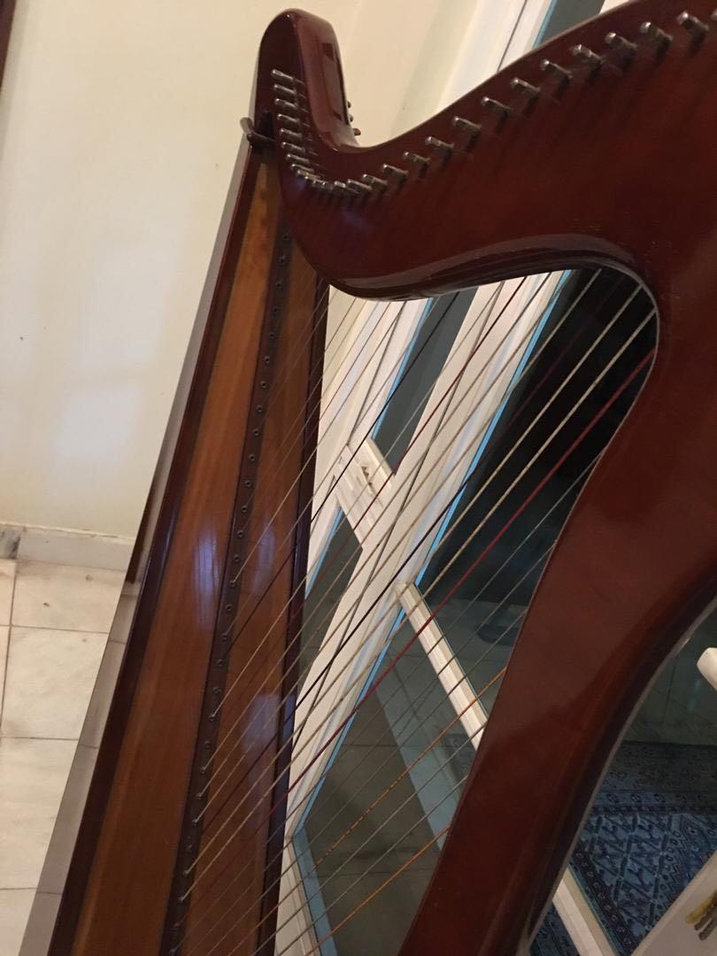 Level Harp, Hobbies & Toys, Music & Media, Musical Instruments on Carousell