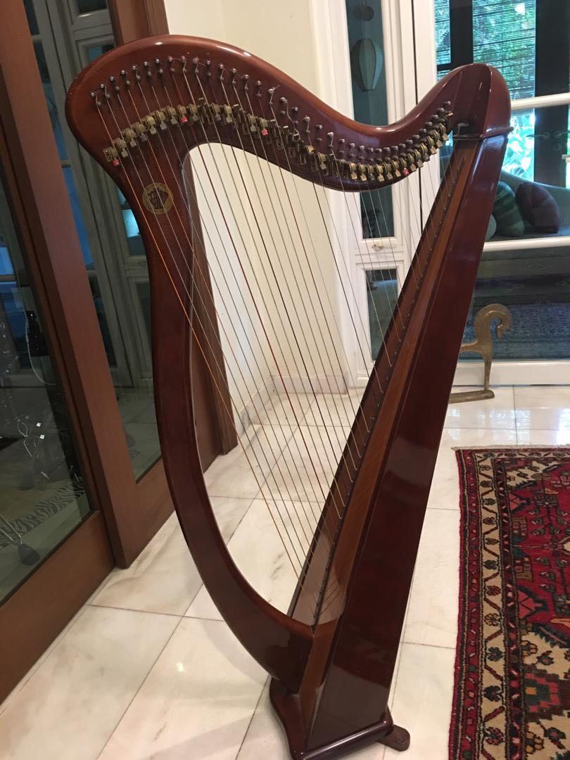 Level Harp, Hobbies & Toys, Music & Media, Musical Instruments on Carousell