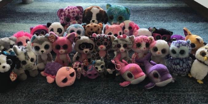 Massive Beanie Boo Collection, Hobbies & Toys, Toys & Games on Carousell