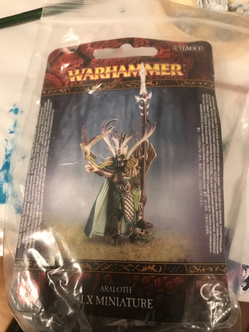 Warhammer AOS - Araloth Wood Elves Prince, Hobbies & Toys, Toys & Games ...