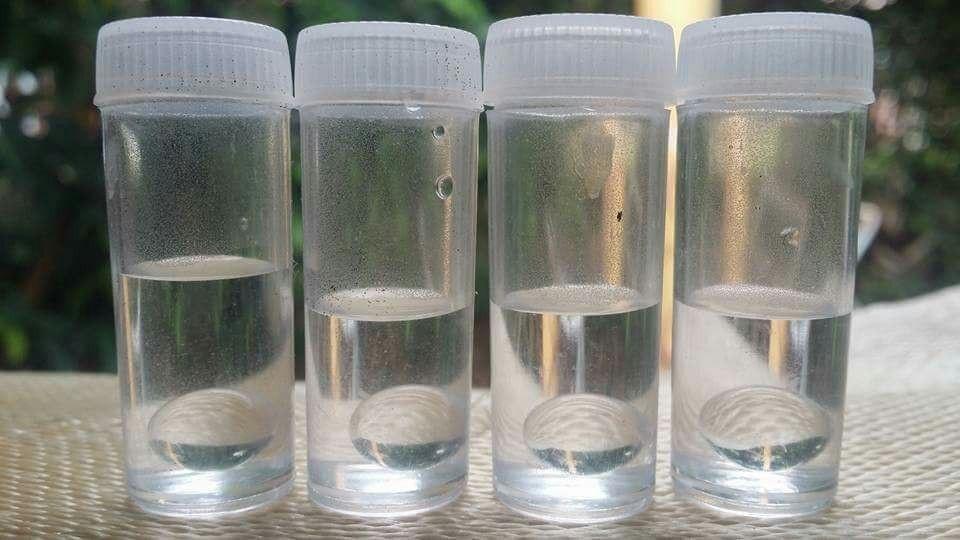 Geliga Embun, Furniture & Home Living, Home Decor, Vases & Decorative ...