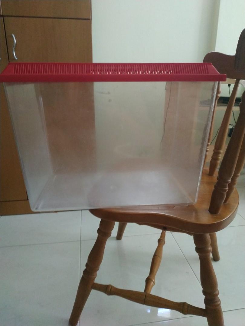 Large tank/animal container, Pet Supplies, Homes & Other Pet ...