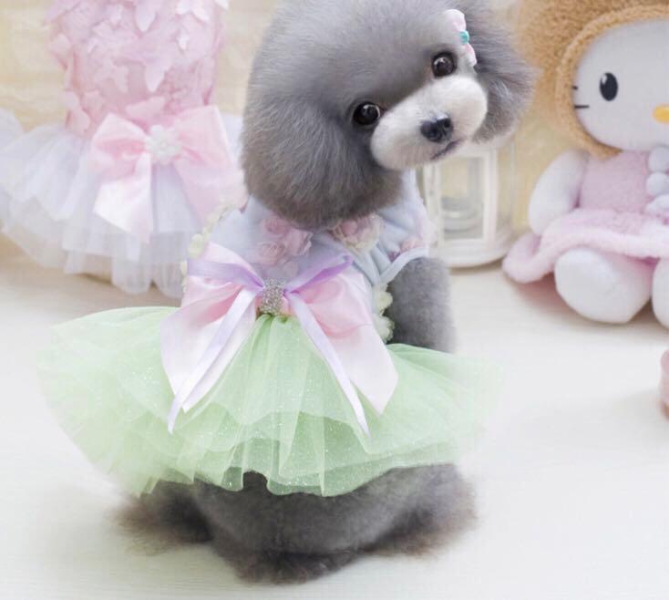 Pet Cloth Princess Dress Luxury Diamond Ribbon, Hobbies & Toys ...