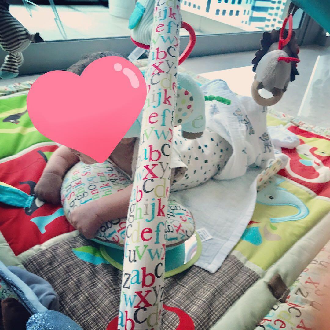 Skip Hop Alphabet Zoo Activity Gym, Babies & Kids, Infant Playtime on ...