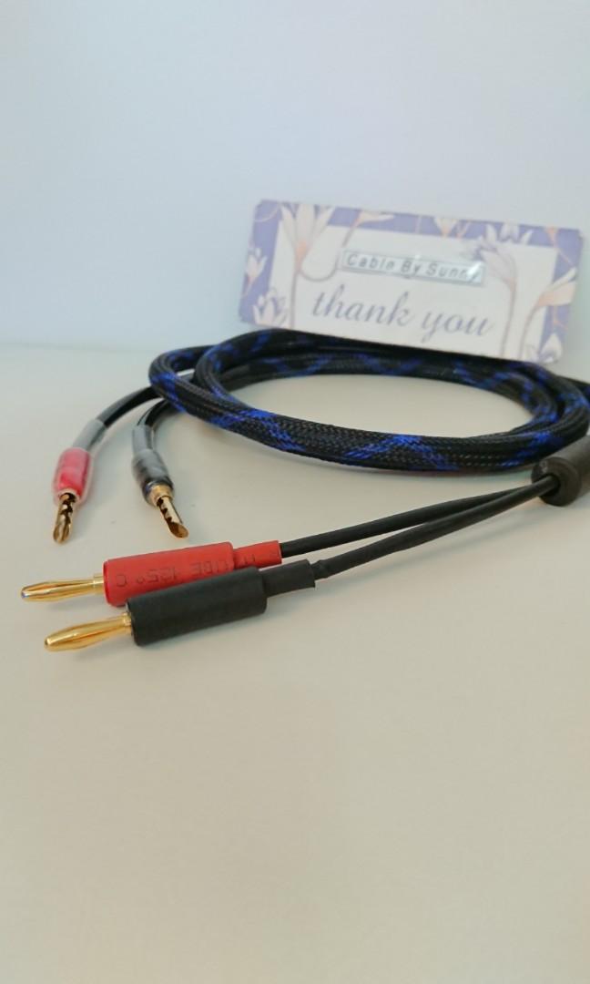 Audioplus Center channel cable., Electronics, Audio on Carousell