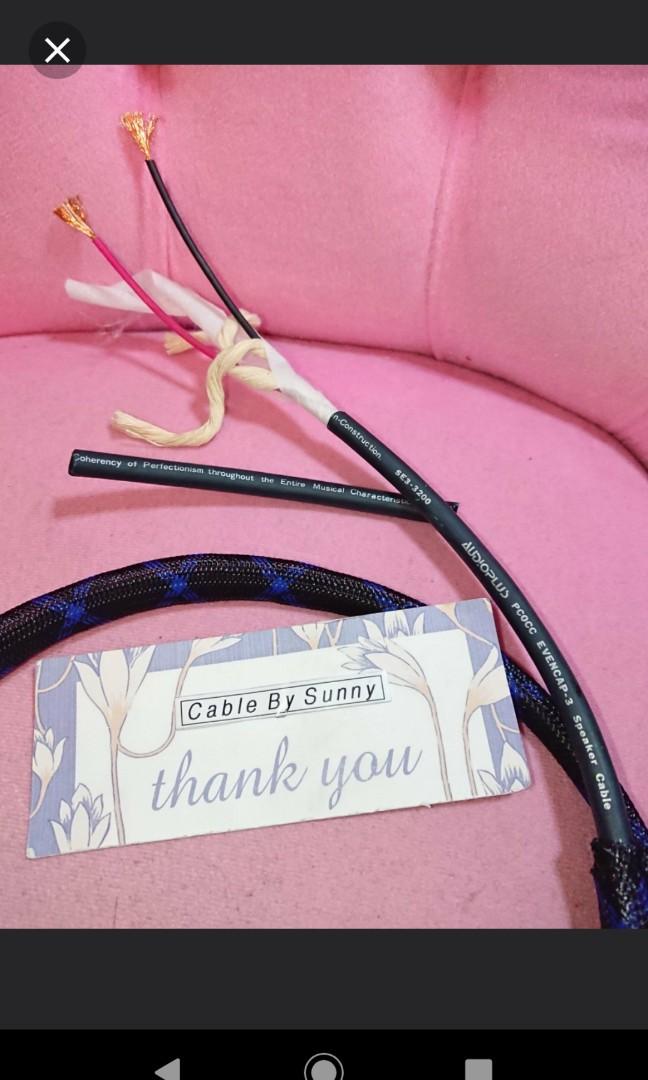 Audioplus Center channel cable., Electronics, Audio on Carousell