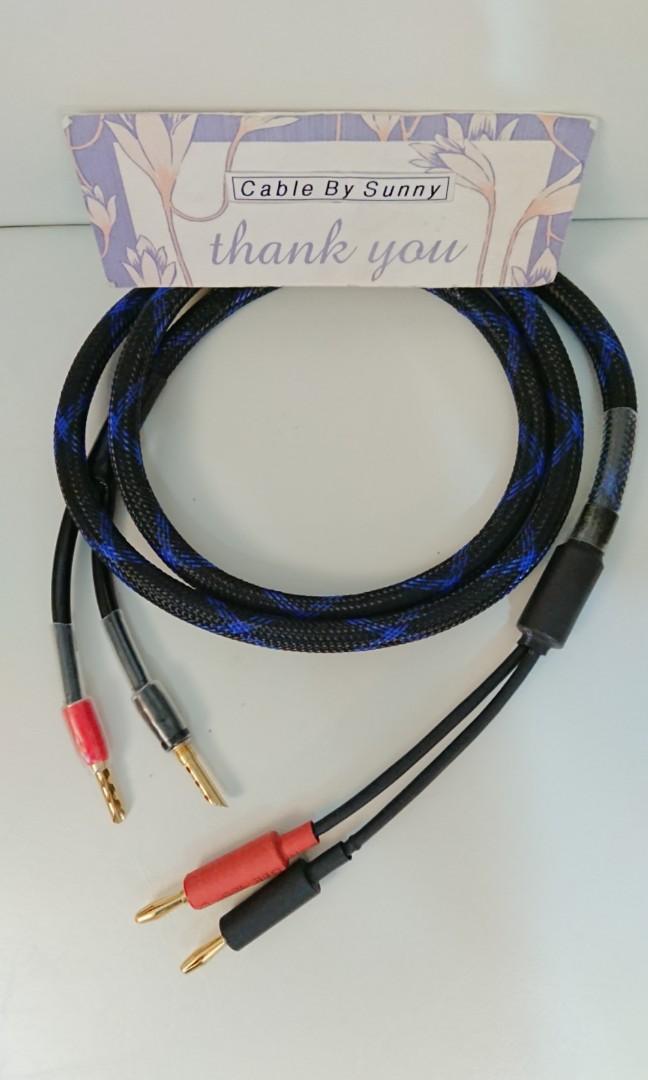Audioplus Center channel cable., Electronics, Audio on Carousell