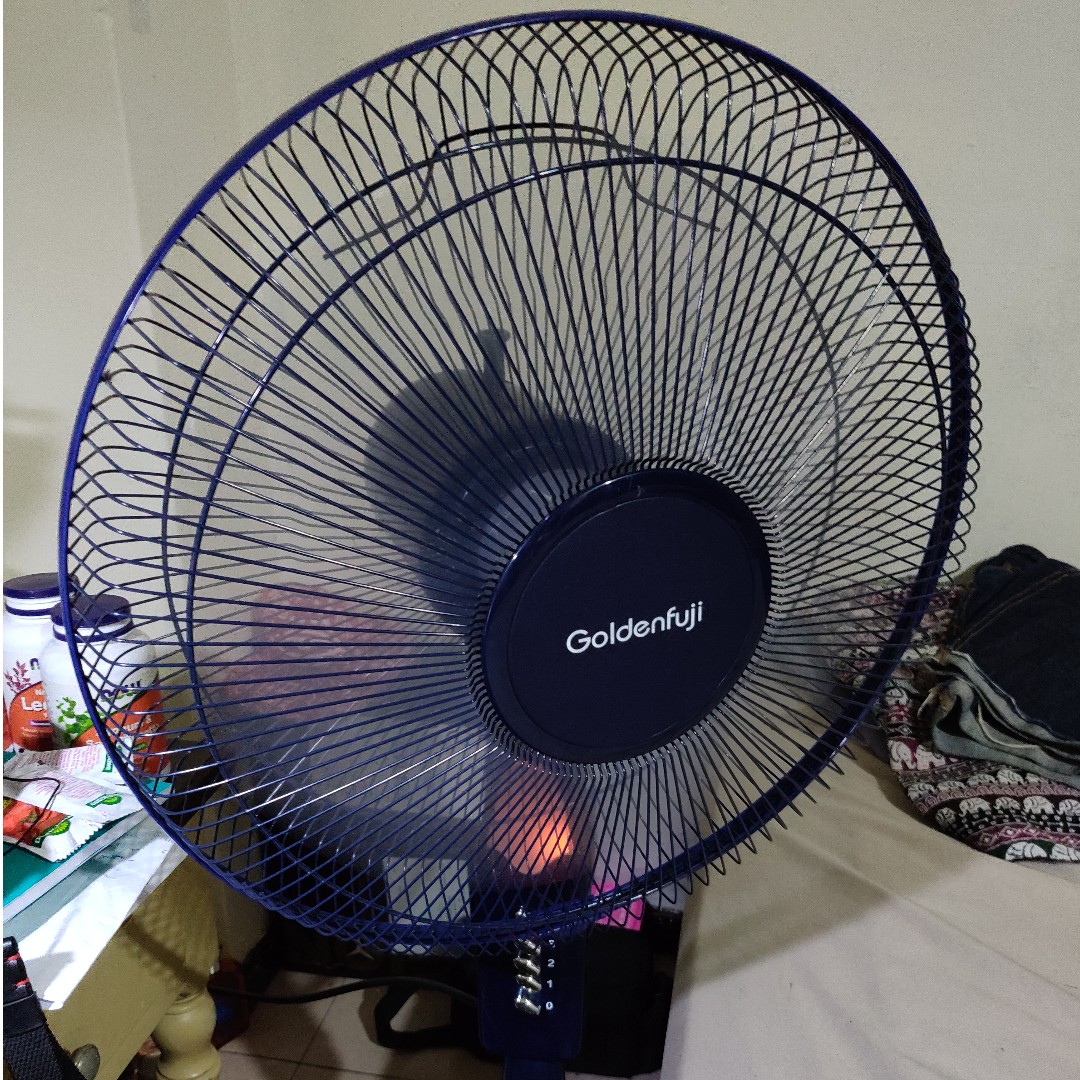 Goldenfuji 16" fan, Furniture & Home Living, Lighting & Fans, Fans on ...