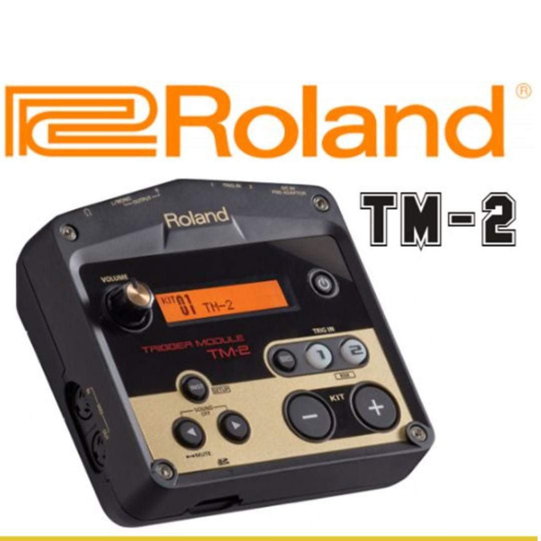 Roland TM-2 Trigger Module, Hobbies & Toys, Music & Media, Music ...