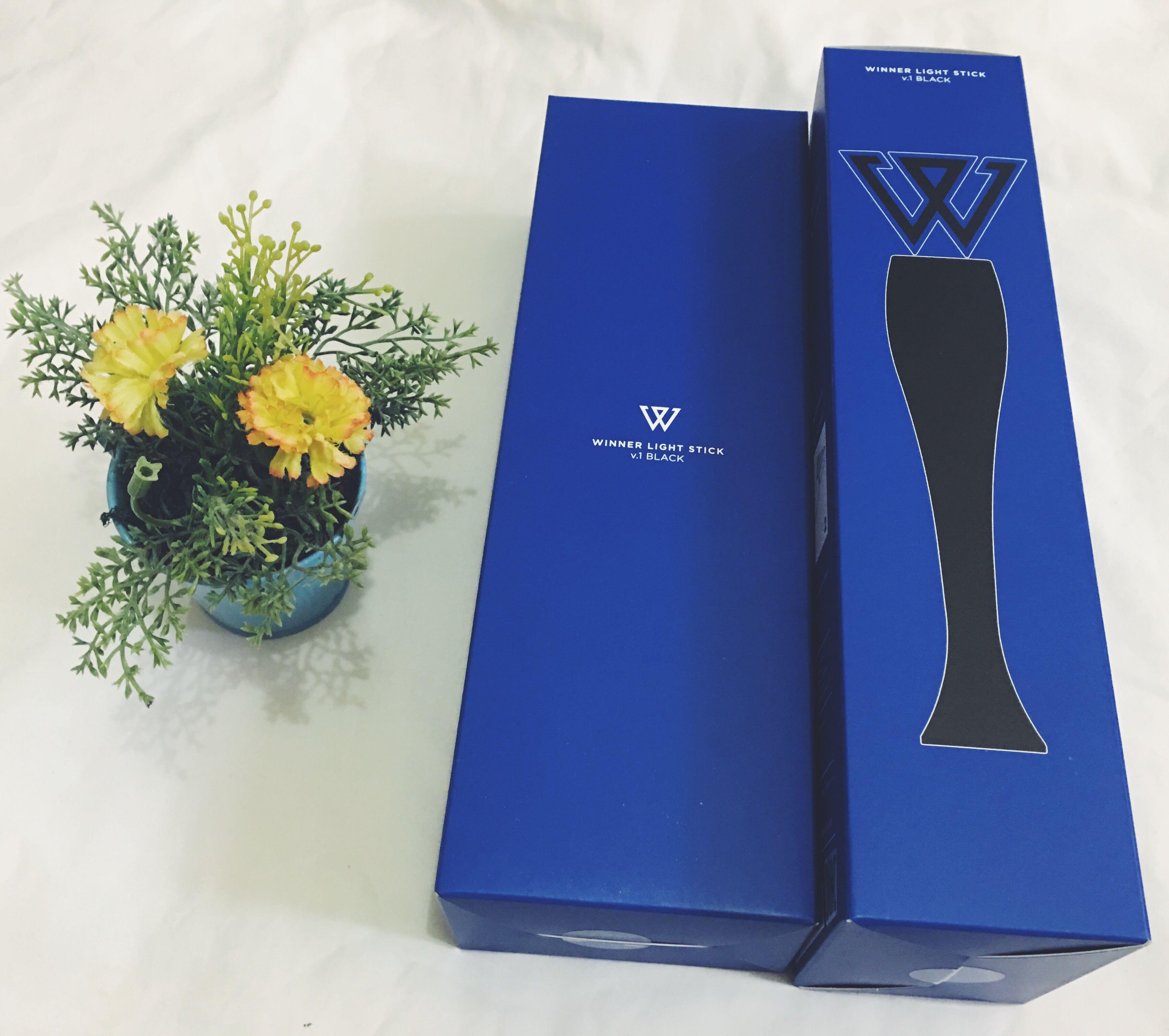 Winner Official Lightstick Version 1 (Black), Hobbies & Toys ...