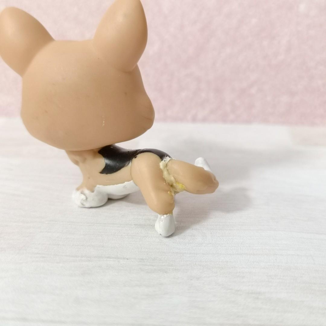Littlest Pet Shop lps RARE corgi, husky finger puppet and chihuahua ...