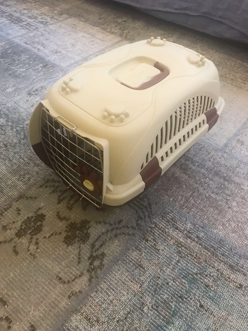 Transport cat box, Pet Supplies, Homes & Other Pet Accessories on Carousell