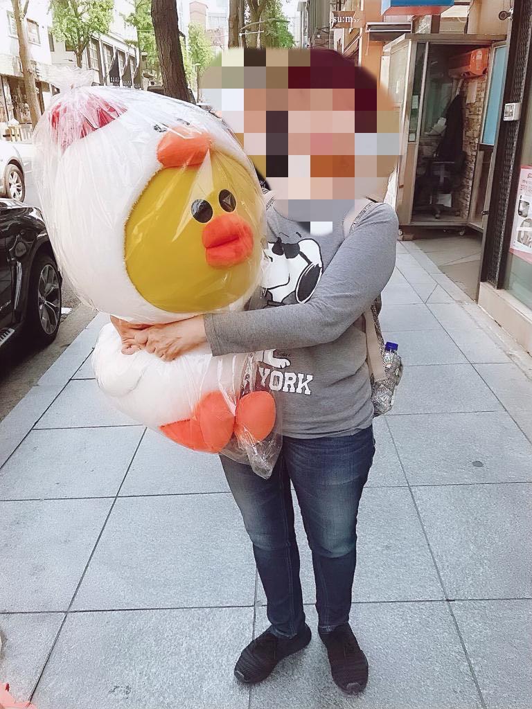 Authentic 70” Line Friends Chicken Sally from Korea, Hobbies & Toys ...