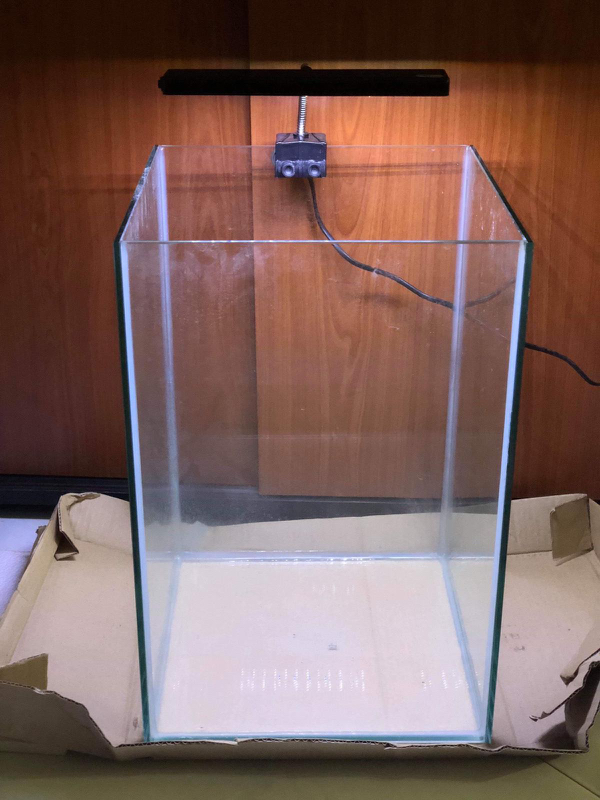 1ft Tall fish tank(1ftx1ftx1.5ft(height)), Pet Supplies, Homes & Other ...