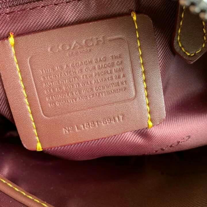 Coach Camera Bag with Rexy & Carriage, Luxury, Bags & Wallets on Carousell