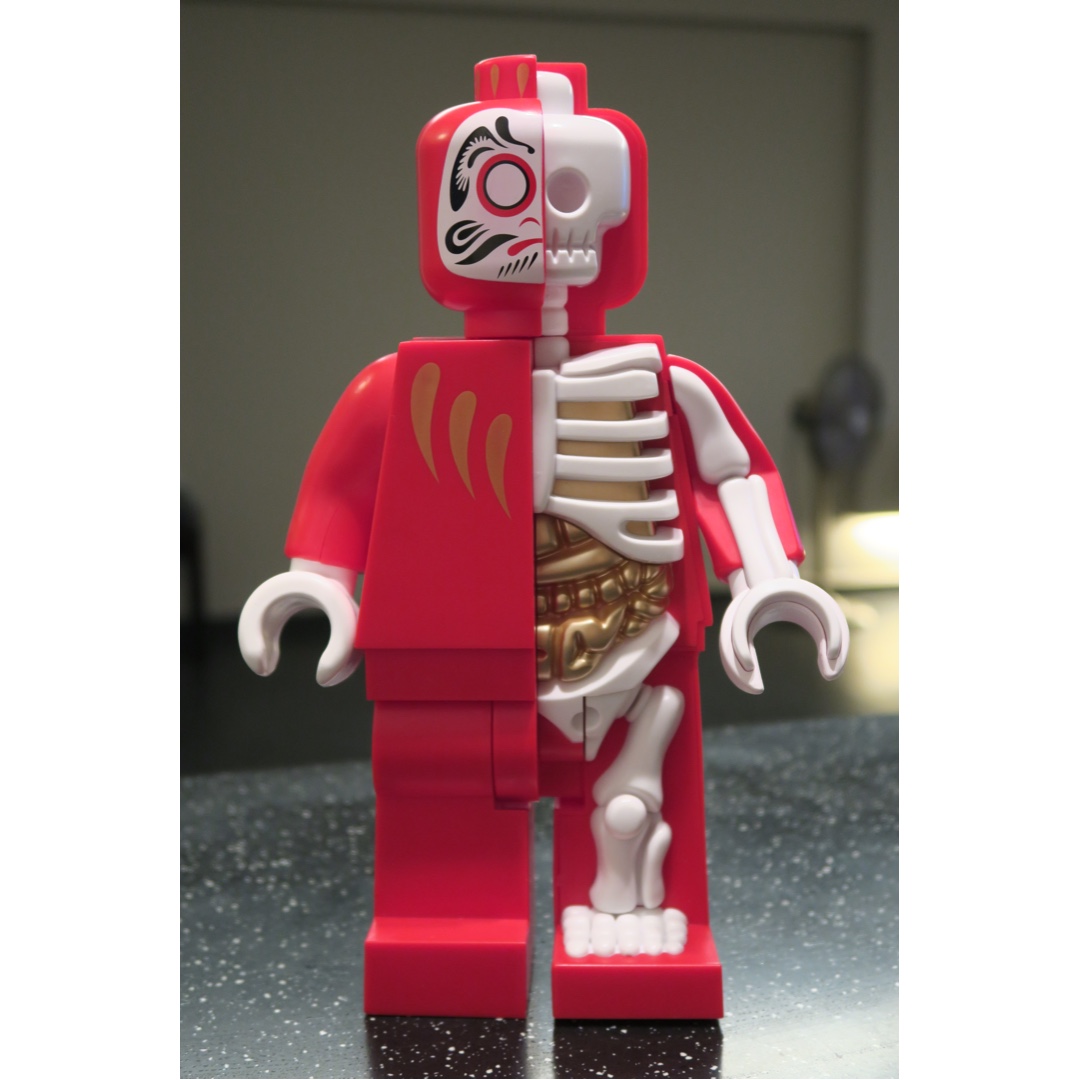 Jason freeny bigger micro anatomic daruma, Hobbies & Toys, Toys & Games ...