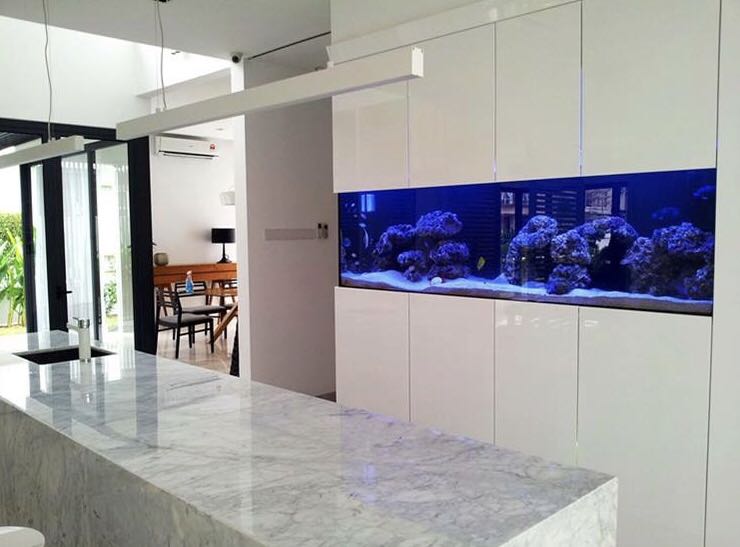 SALTWATER AQUARIUM, Furniture & Home Living, Gardening, Pots & Planters ...