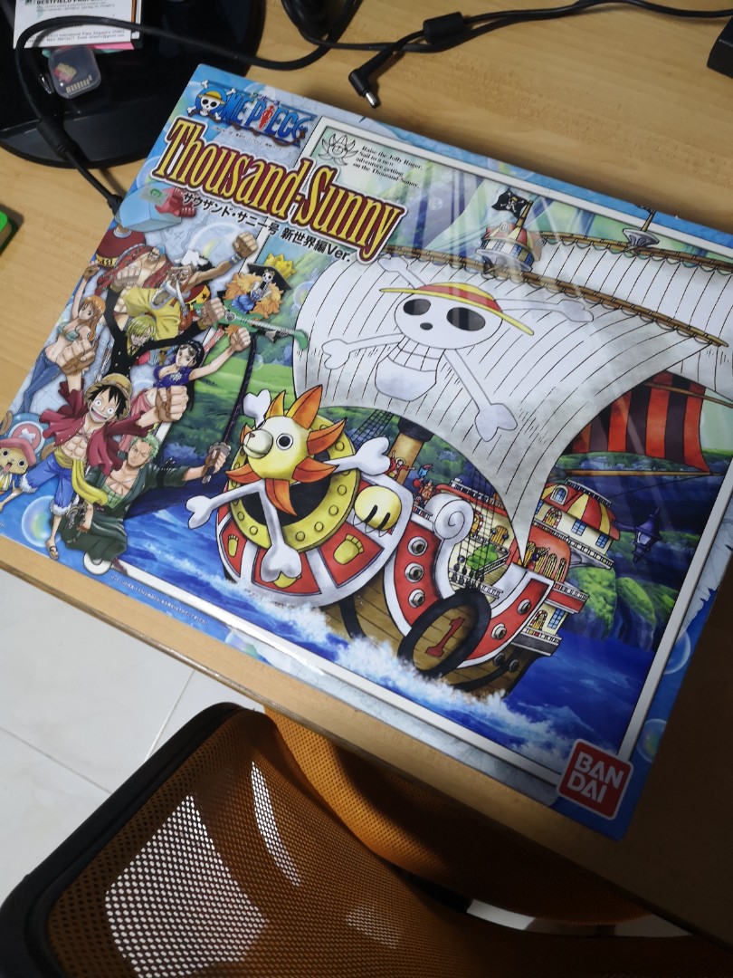 Thousand Sunny Model Kit, Hobbies & Toys, Toys & Games on Carousell