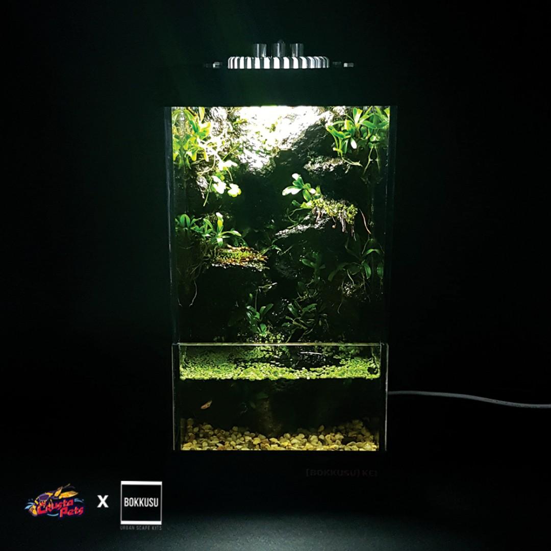 ボックス [BOKKUSU] - Urban Scape Kit - San [パルダリウム] USB Paludarium Kit 02 ...