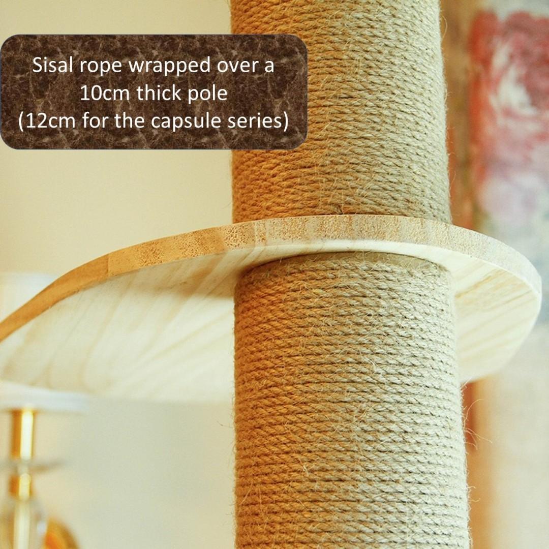 Cat Ceiling scratch pole condo tree, not carrier cage food litter tray ...