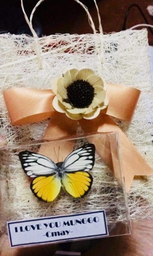 Real dried butterfly ref magnet souvenir / giveaway., Hobbies & Toys ...