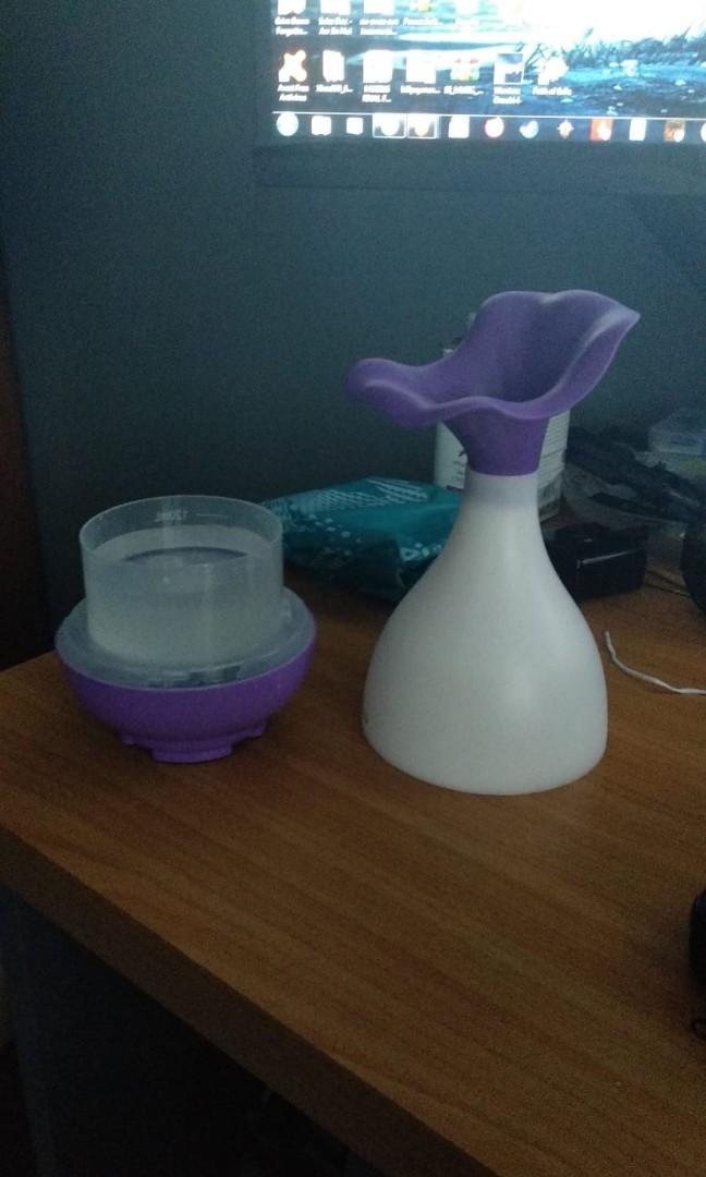 Flower Shape USB Diffuser, Everything Else on Carousell