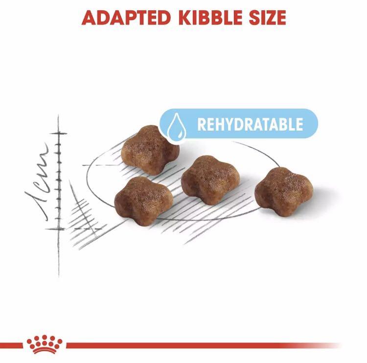 Royal Canin Mother & Baby Cat Dry Food Kibble, Pet Supplies, Pet Food ...