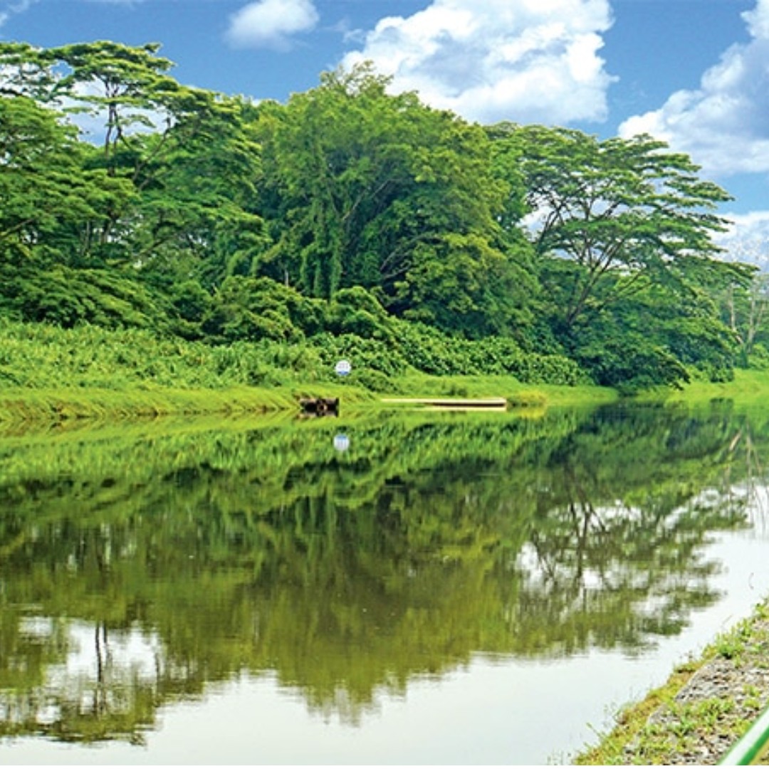 Springleaf Villas FREEHOLD, Property, For Sale, Landed Property on ...