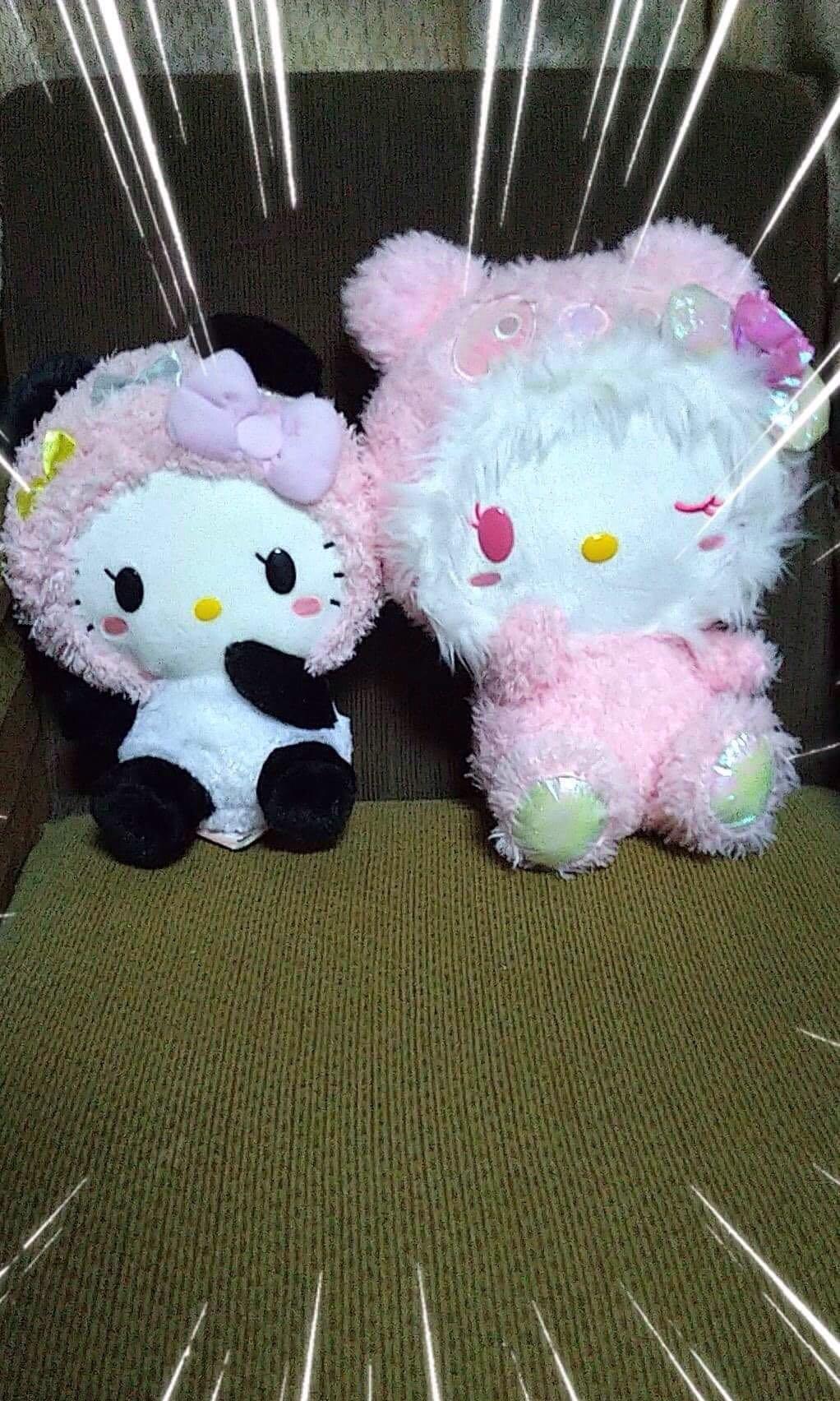 Hello kitty panda, Hobbies & Toys, Toys & Games on Carousell