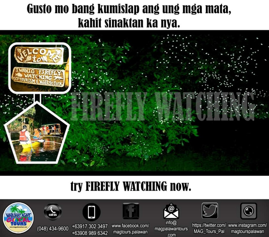 FIREFLY WATCHING TOUR in Puerto Princesa City, Tickets & Vouchers ...