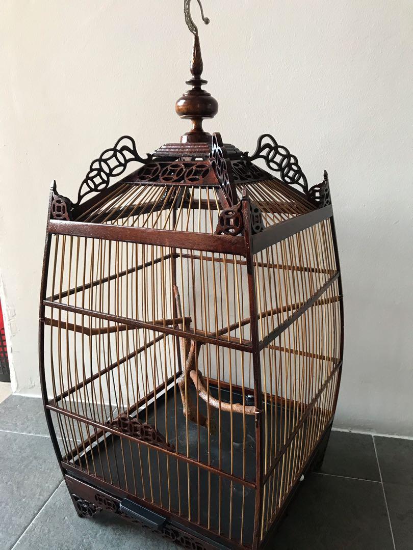 Jambul square cage, Pet Supplies, Homes & Other Pet Accessories on Carousell