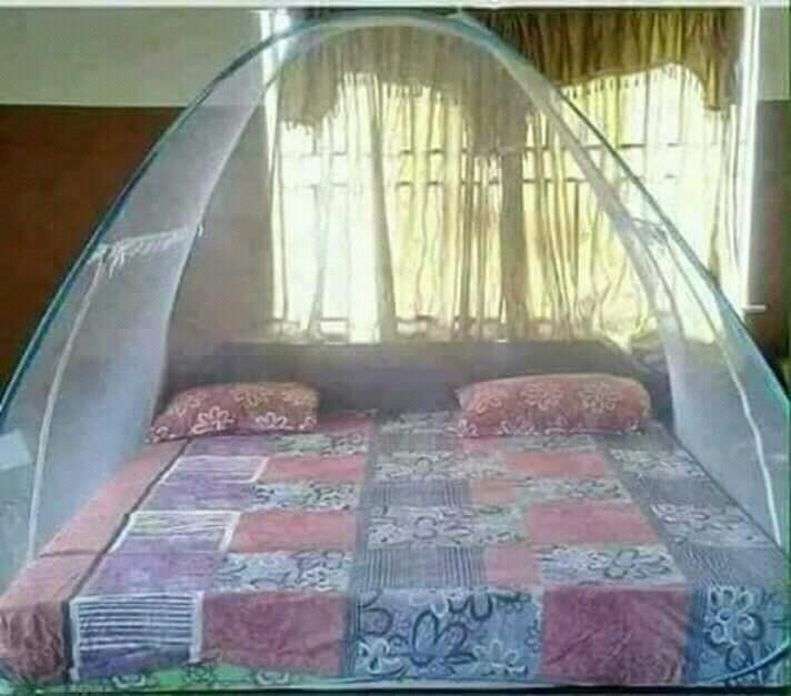 KULAMBO TENT, Furniture & Home Living, Home Decor, Other Home Decor on ...