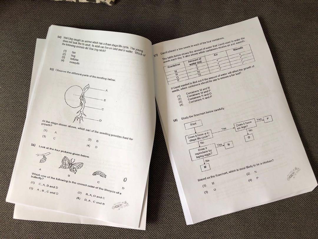 P4 Science 1200 MCQ Exam Papers (6 Topics), Hobbies & Toys, Books ...