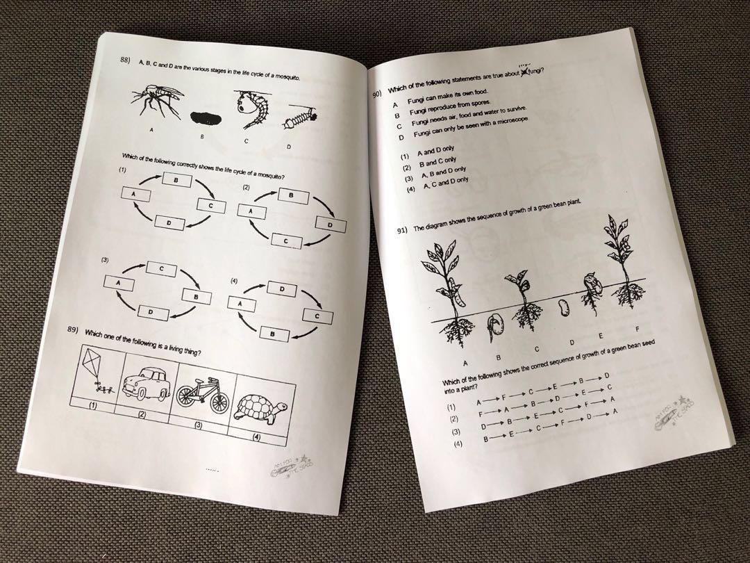 P4 Science 1200 MCQ Exam Papers (6 Topics), Hobbies & Toys, Books ...
