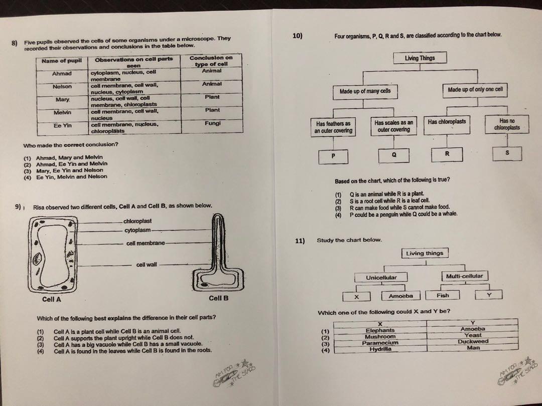P5 Science 1000 MCQ Exam Papers (5 Topics), Hobbies & Toys, Books ...